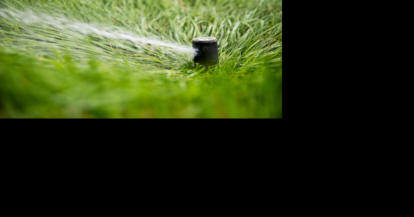 Bozeman pushing landscape code changes, limits on turf grass to save ...