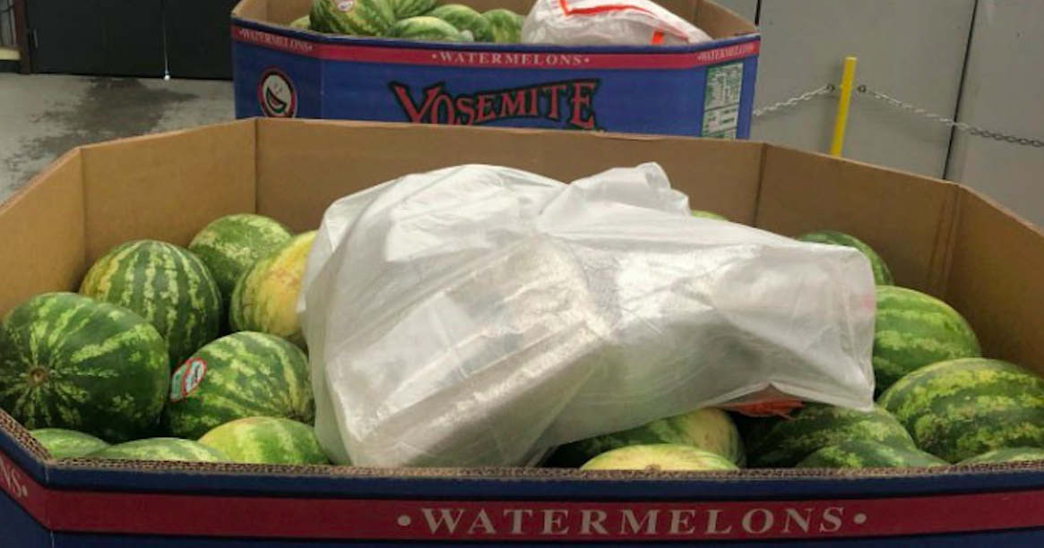 Woman pleads guilty to trying smuggle cocaine hidden within watermelon ...