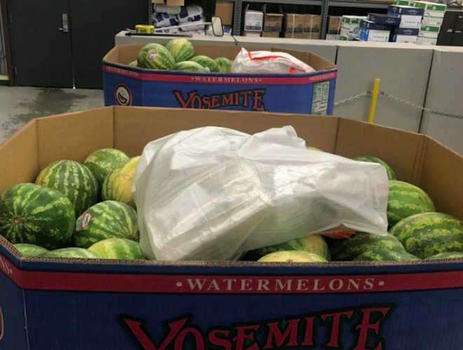 Woman pleads guilty to trying smuggle cocaine hidden within watermelon ...