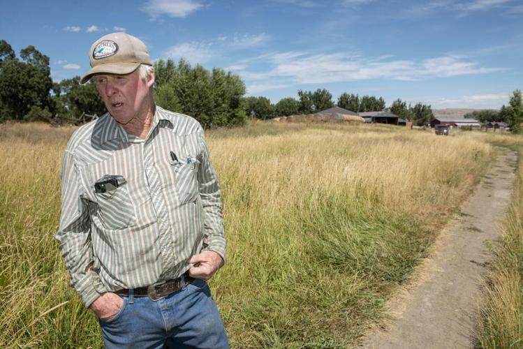 'Cattle are the key': Some Montana ranchers turn to regenerative ...