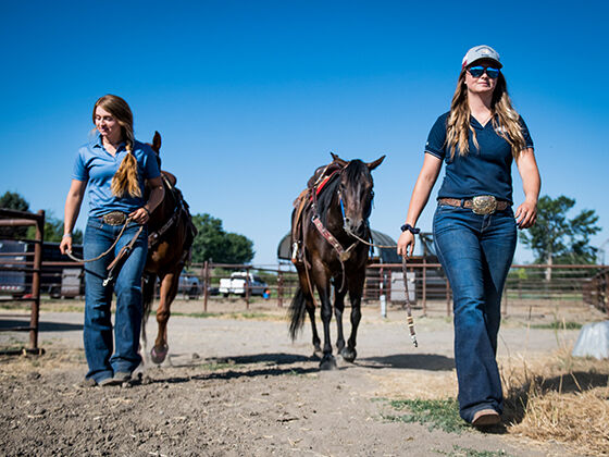 A bond built on rodeo | University | belgrade-news.com