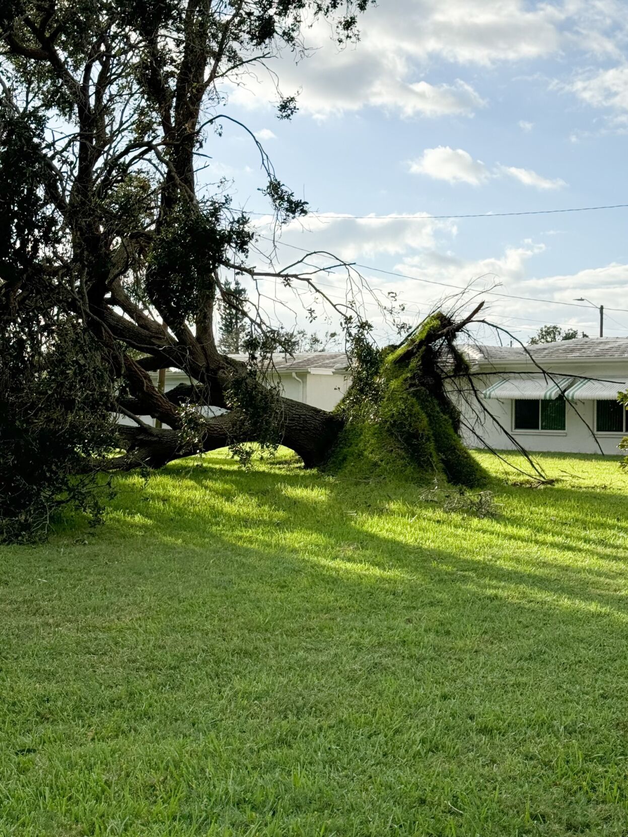 Hurricane Milton: Close to 2.3M Florida households without power ...