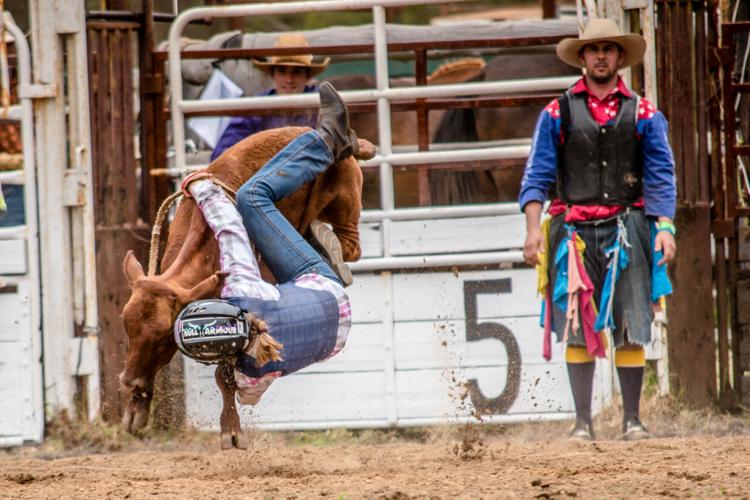 Cowboy Up!: Rodeo about to become Montana's official state sport ...