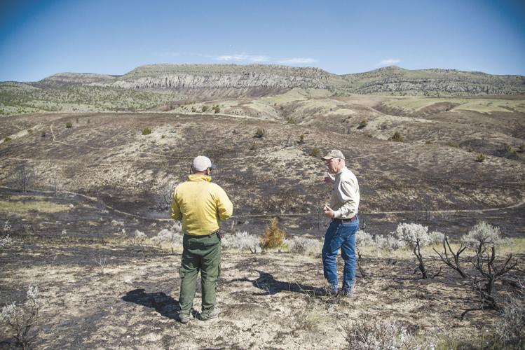 Winds whip up Montana wildfires | State News | belgrade-news.com