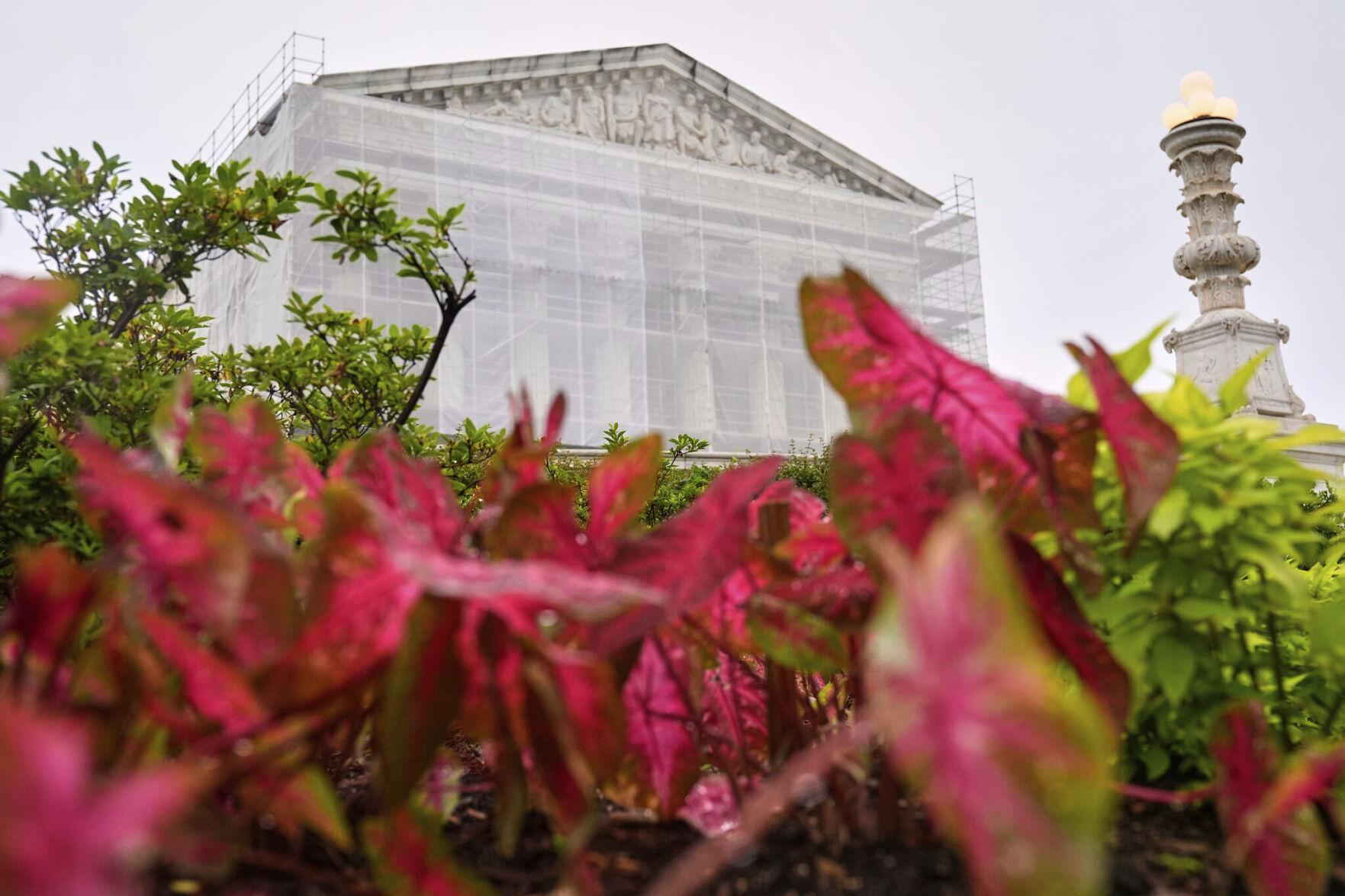 Porn sites age verification law upheld by U.S. Supreme Court | Local ...