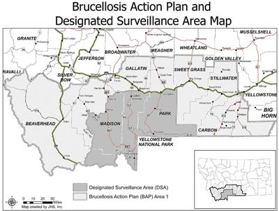 Livestock officials set meetings on brucellosis rule | Local News ...