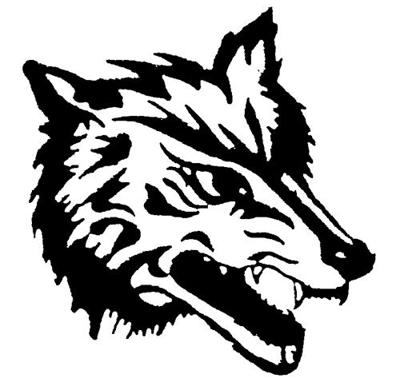 Three Forks wins opening round game at divisional tourney | Local ...