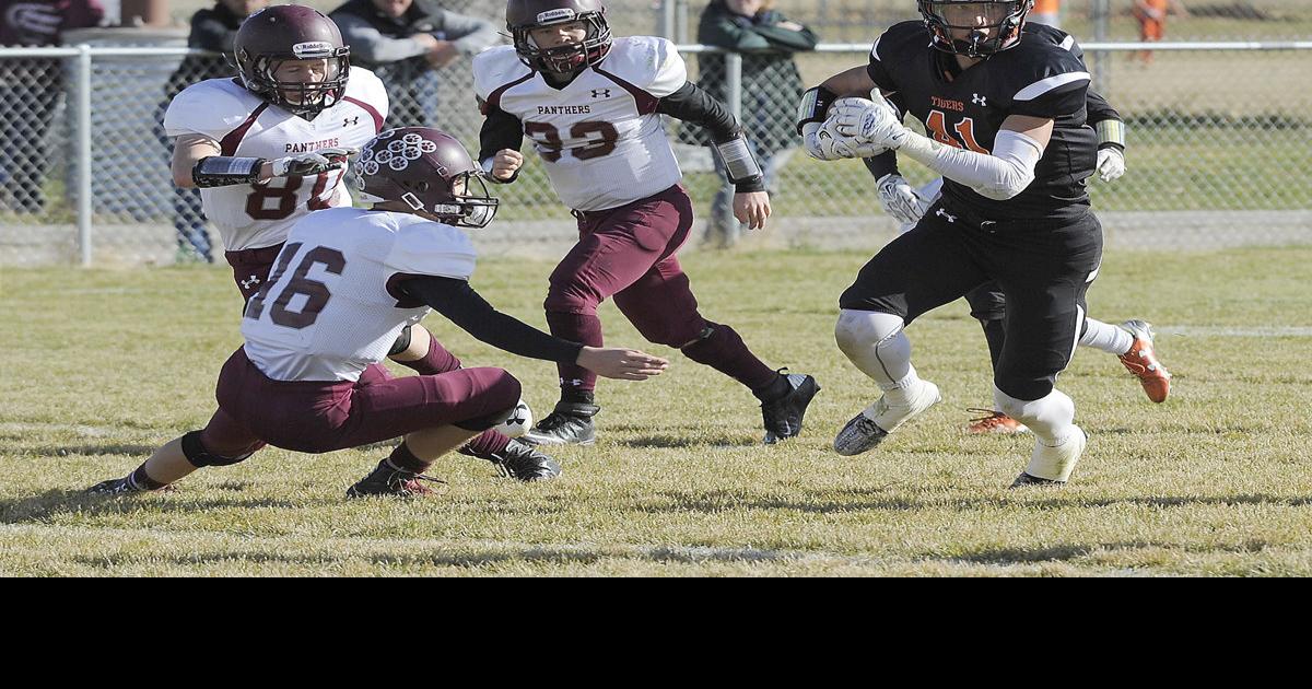 Tigers’ McCloud, Holgate earn All-State honors | Local Sports ...