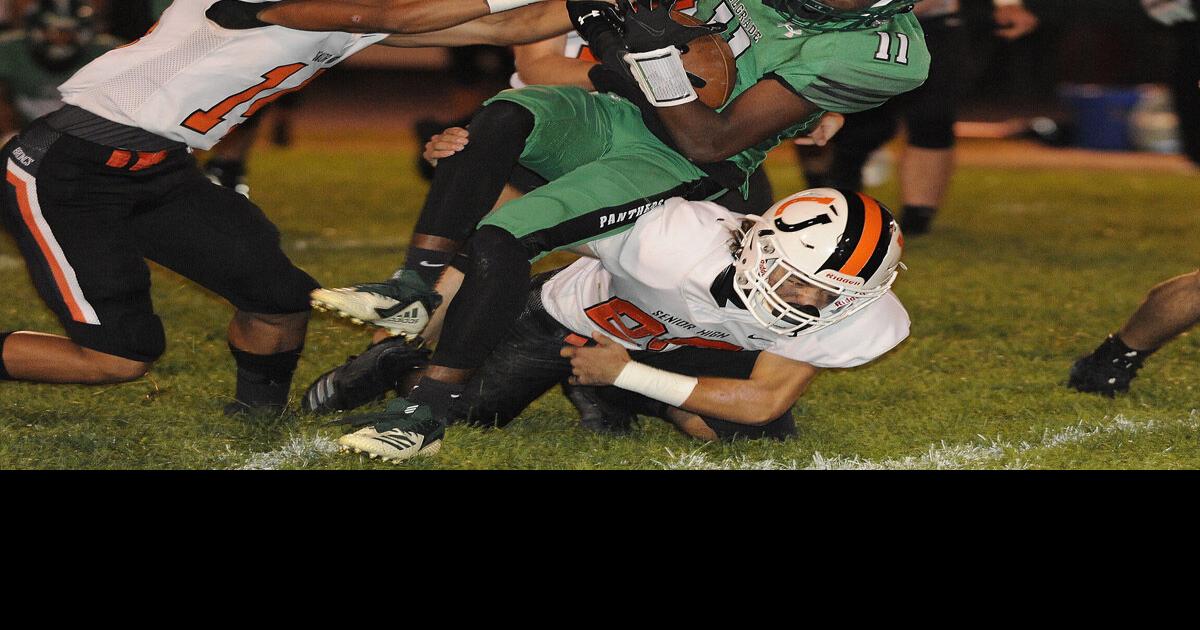 Panthers have moments of excitement in lopsided defeat | Local Sports ...