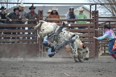 Three Forks Rodeo Grounds becomes Three Forks Rodeo Arena | Municipal ...
