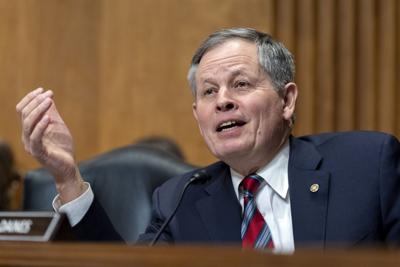 Daines, Thune push to make Trump tax cuts permanent | Business ...
