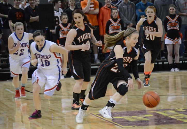 Tigers bounce back at divisional | Local Sports | belgrade-news.com