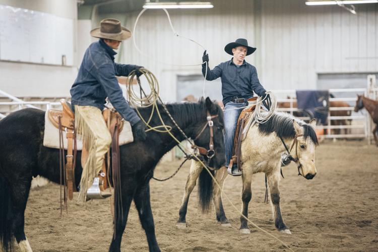 MSU students train wild mustangs for Montana nonprofit that helps ...