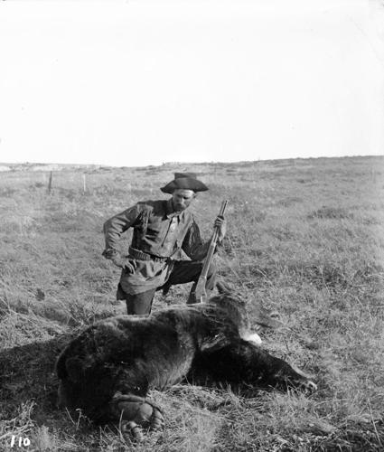 Ghosts of the Prairie: Apex predators still roam central-eastern ...