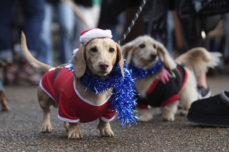 Christmas around the world | Local News | belgrade-news.com