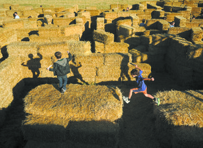 Hay-maze-ing | Features | belgrade-news.com