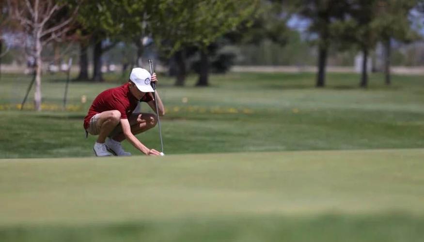 Manhattan Christian’s VanDyken wins Class C individual golf ...