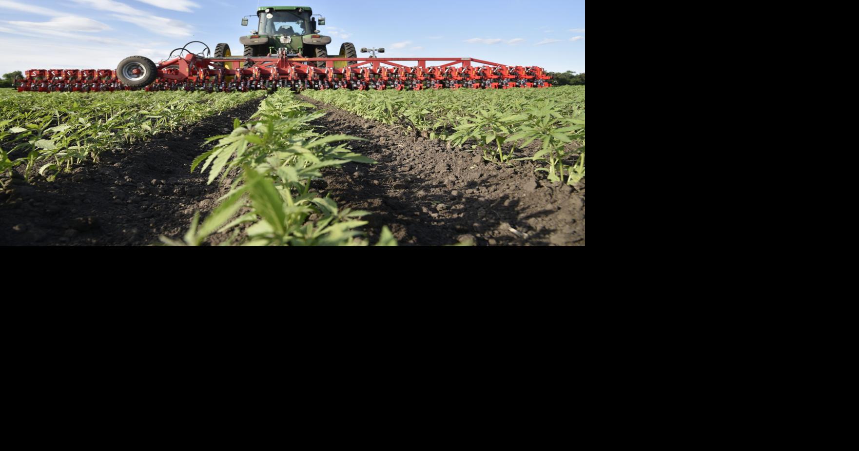 ‘Farmers on the forefront’: Precision agriculture brings technology ...
