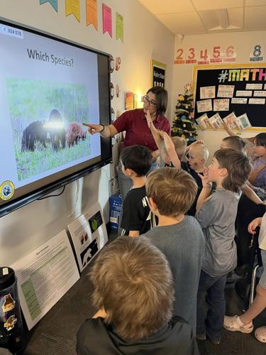 Three Forks Public Schools eye budget cuts, hiking activity fees ...