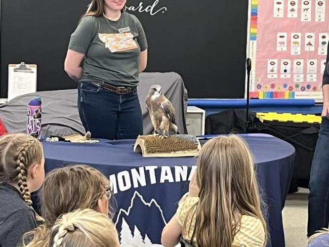 Three Forks Public Schools eye budget cuts, hiking activity fees ...