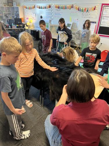 Three Forks Public Schools eye budget cuts, hiking activity fees ...