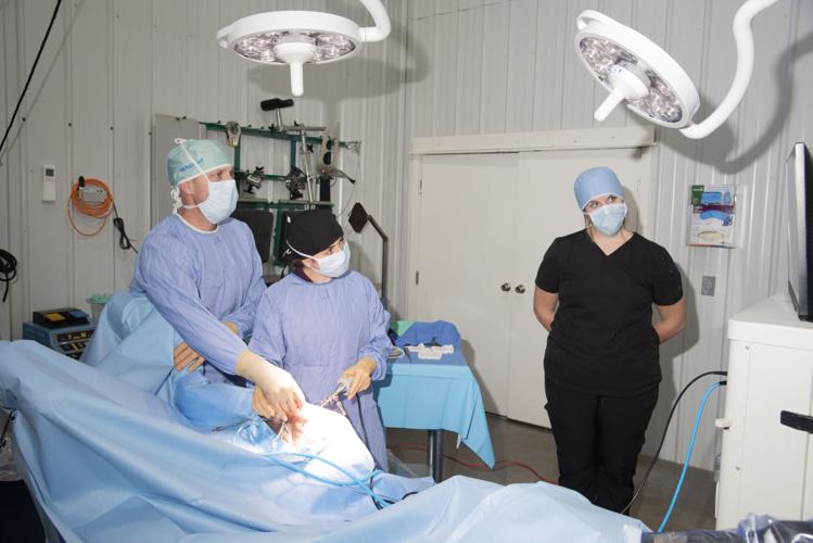 Three Forks Equine surgery center helping Montana horses | Horse Racing ...