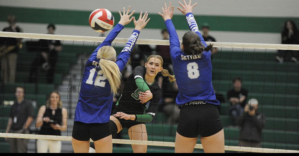 Panthers stumble on senior-parent night, win streak snapped by Billings ...