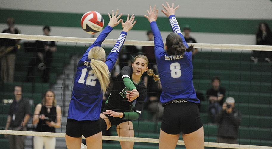 Panthers stumble on senior-parent night, win streak snapped by Billings Skyview | Local Sports ...