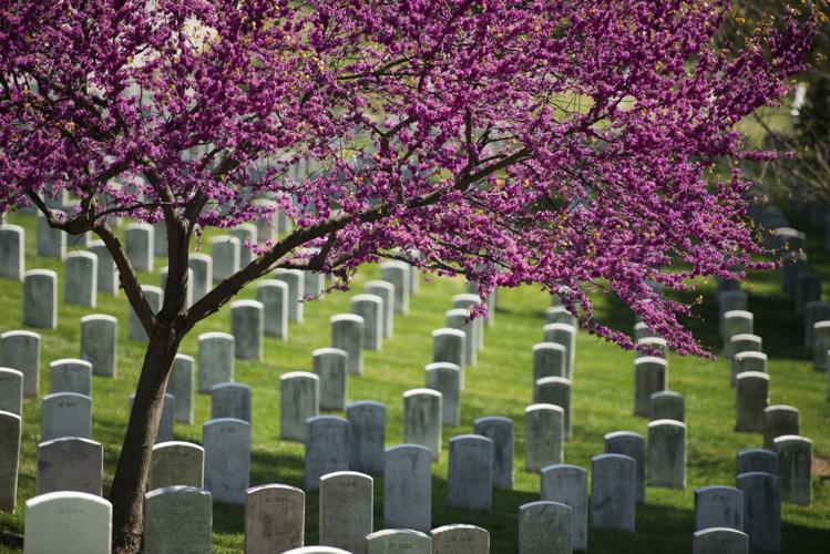 Memorial Day in Manhattan to honor World War II vet Jacob John Droge Jr ...