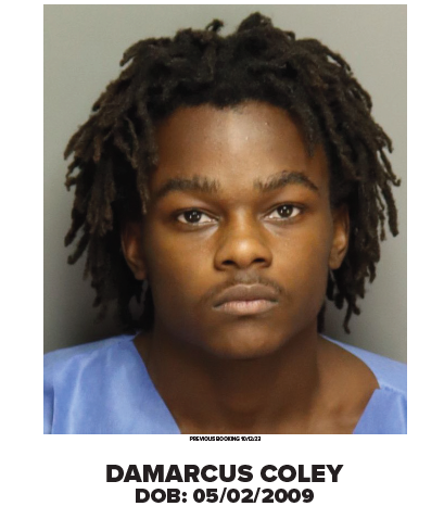 Sheriff: Family's argument over Christmas gifts turns deadly: Teen kills sister holding baby ...