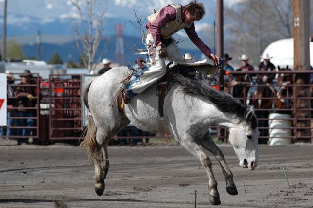 Three Forks Rodeo | Local News | belgrade-news.com