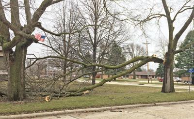 Big spring wind | News | belmondnews.com