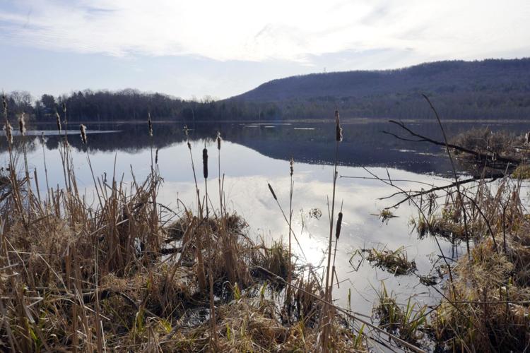 Signs of Spring | Features | berkshiresweek.com