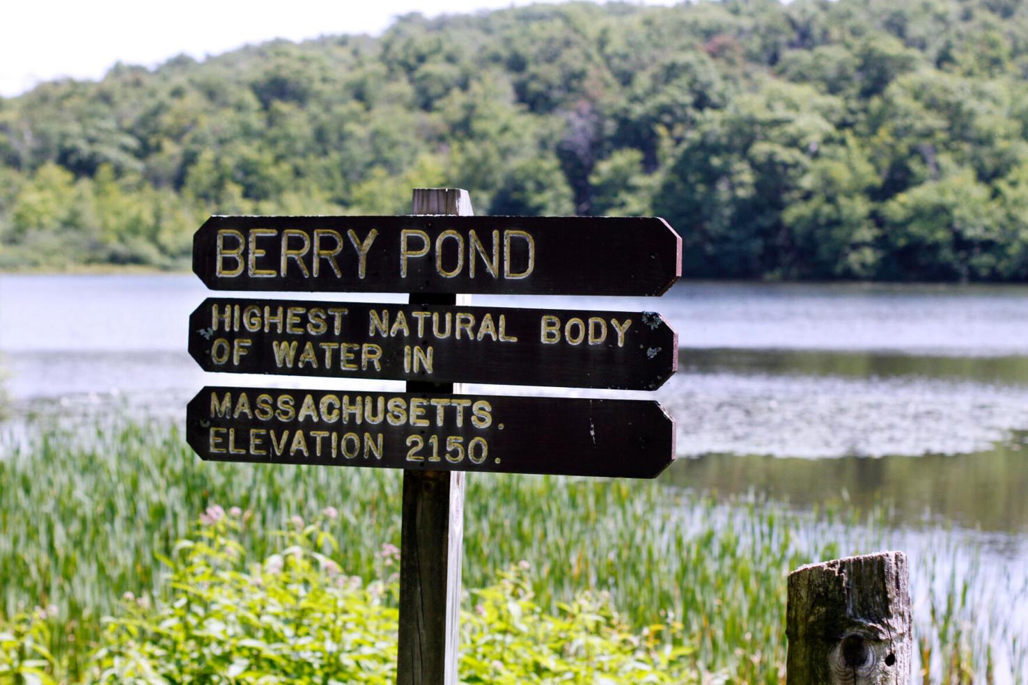 LuLu Cascade to Berry Pond hike in Pittsfield State Forest | Hiking ...