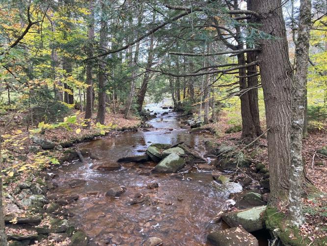 Take a rough ride on October Mountain this week | Biking ...