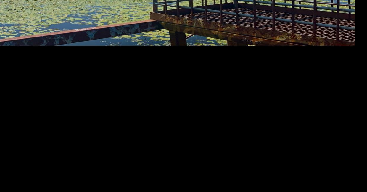 Hike of the Week: Wild Acres Park | Outdoors + Recreation ...