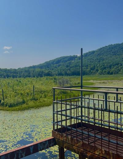 Hike of the Week: Wild Acres Park | Outdoors + Recreation ...