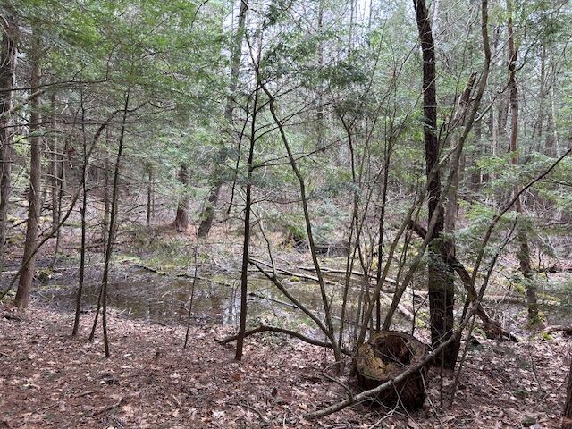 4 great spring hikes to take in the Berkshires with views and ...