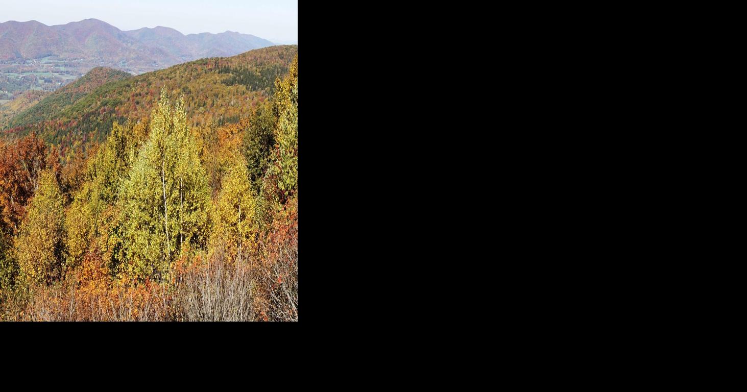 3 hikes perfect for enjoying fall foliage in Northern Berkshire County ...