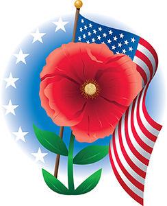 Buddy Poppy, official memorial flower of VFW, supports veterans | Local ...