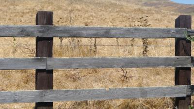 Fence fight nears boiling point State-level decision causes rift ...