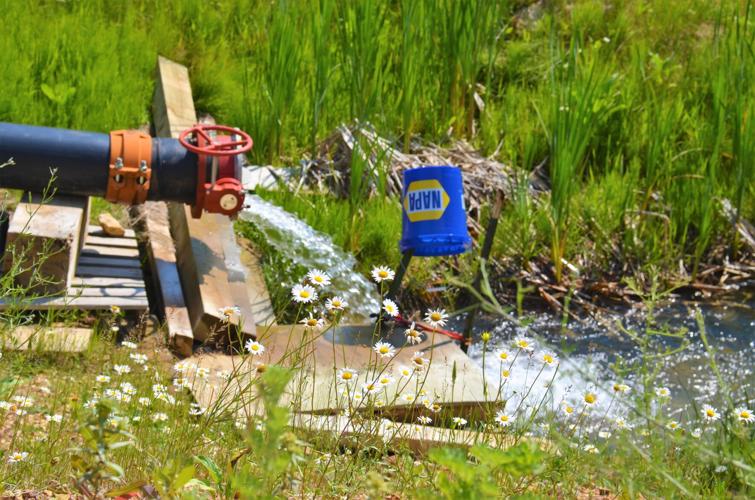 EPA educates on Gilt Edge Mine Superfund Site tour | Local News ...
