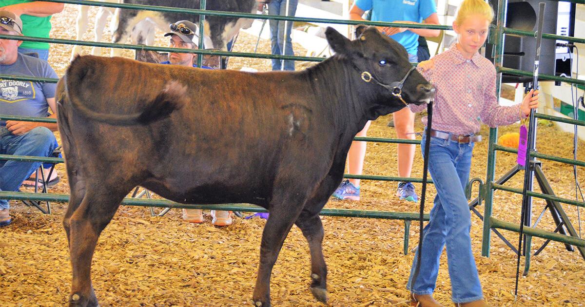 Meade County Fair centered on kids and their critters | Local News ...