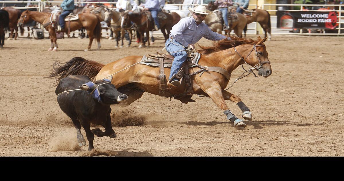 Days of ’76 Rodeo underway | Local Sports | bhpioneer.com