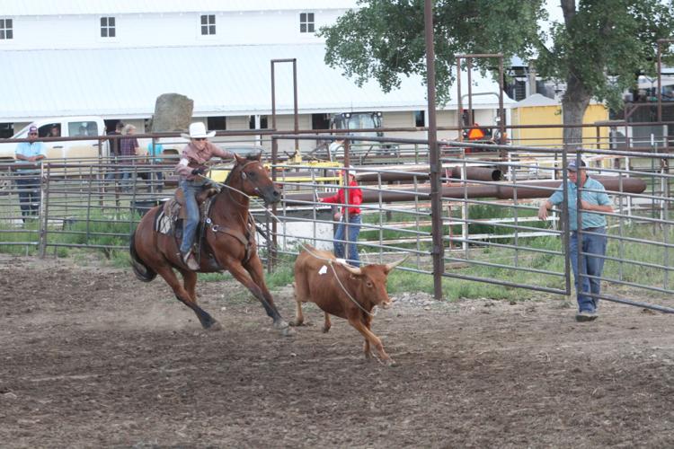 Butte/Lawrence County fair hosts ranch rodeo | Local Sports | bhpioneer.com