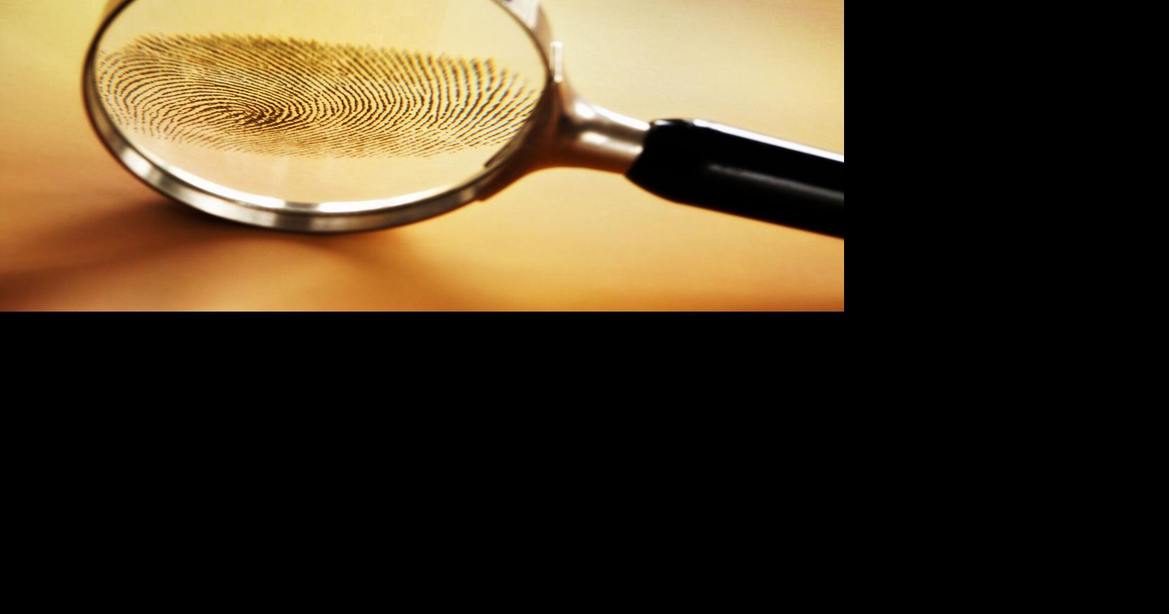 Pennington Co. sheriff seeks info into horse’s death | Local News ...