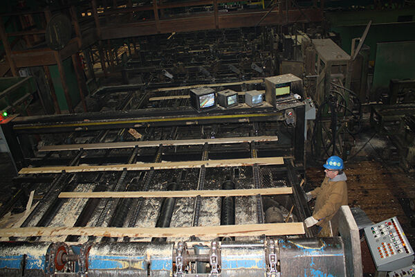 To tree, or not to tree | Local News | bhpioneer.com