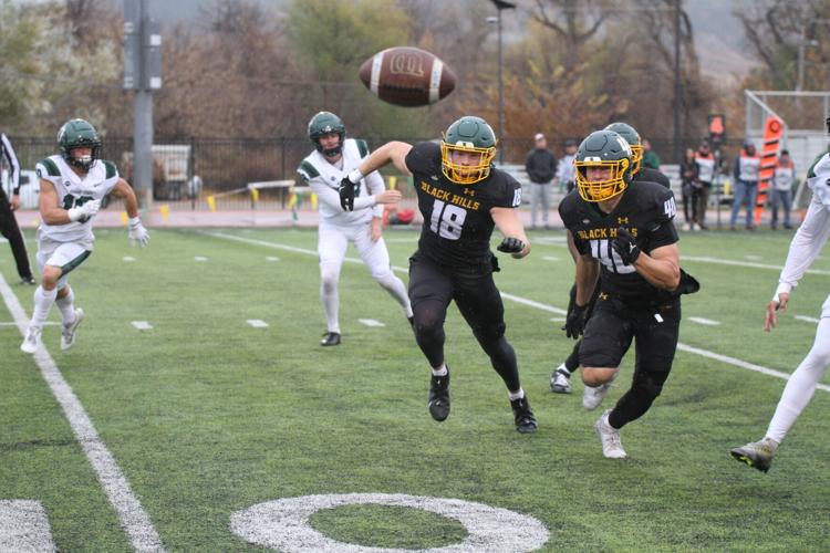 In-state rivalries and DII perennial powers highlight 2025 BHSU ...