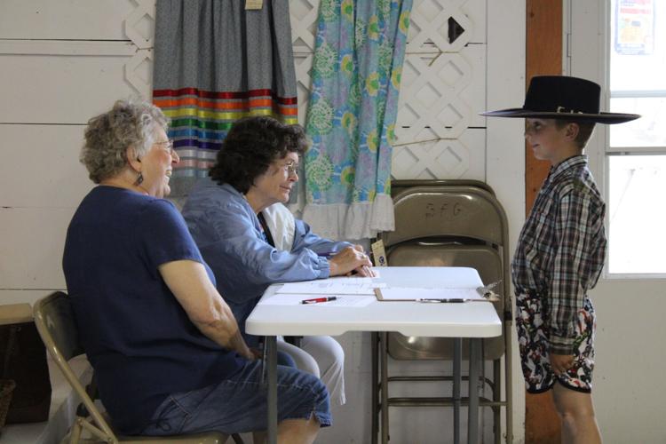 In style and stitches Butte Lawrence Co. Fair contestants demonstrate ...