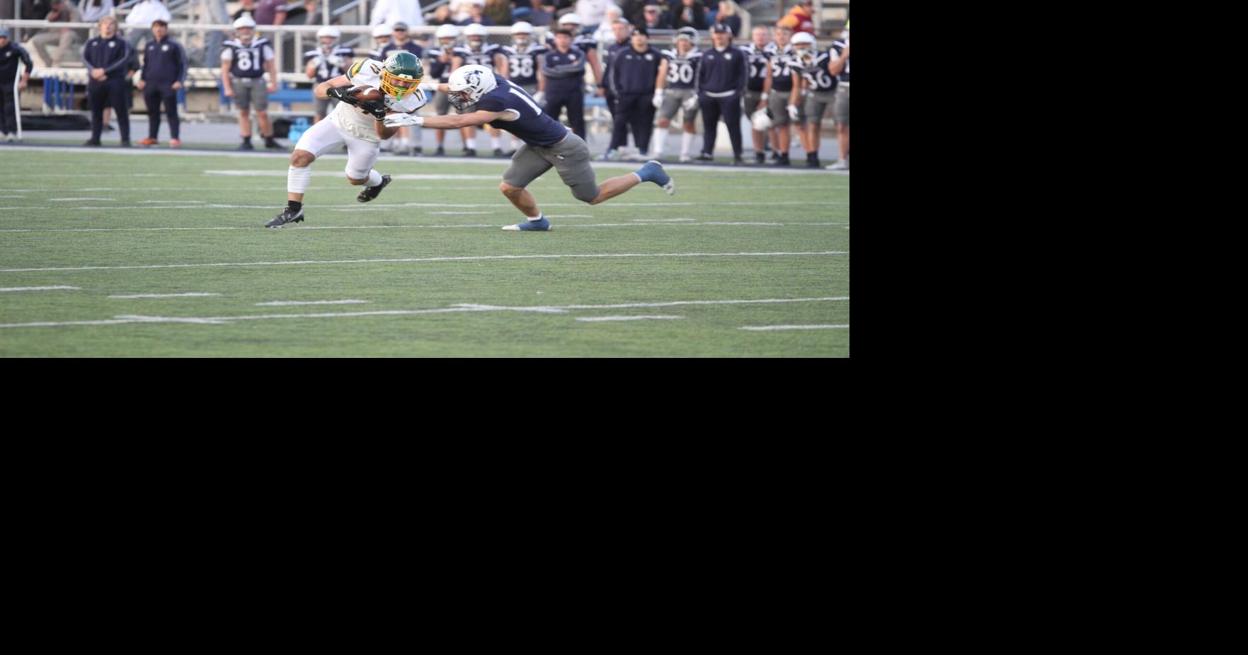 In-state rivalries and DII perennial powers highlight 2025 BHSU ...